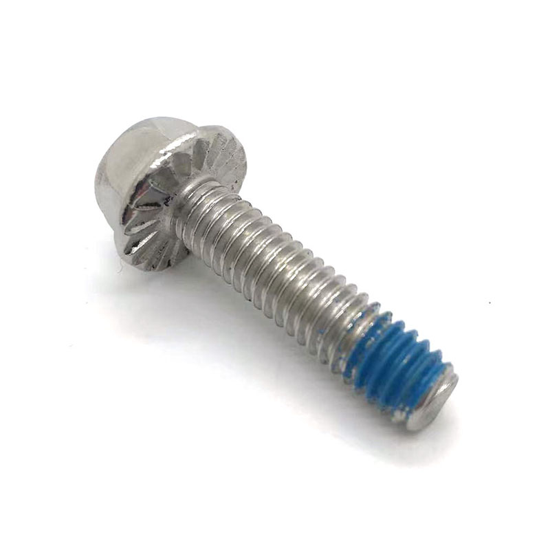 Hexagon Flange Bolts With Polyamide Coating - China Loong Fastener Co ...