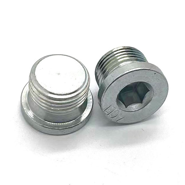 HU08 Hexagon Socket Screw Plugs With ED Sealing Ring - China Loong ...
